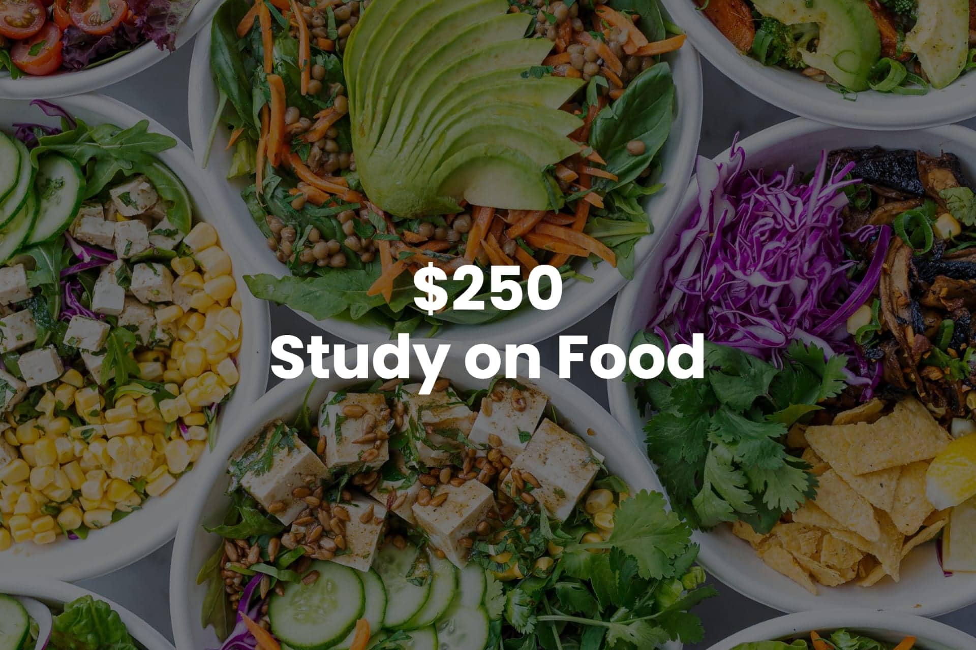 Paid Focus Group on Food for People with Low Income - Nationwide