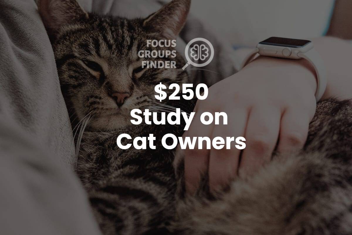 Paid Online Focus Group on Cat Owners ($250) - FG Finder